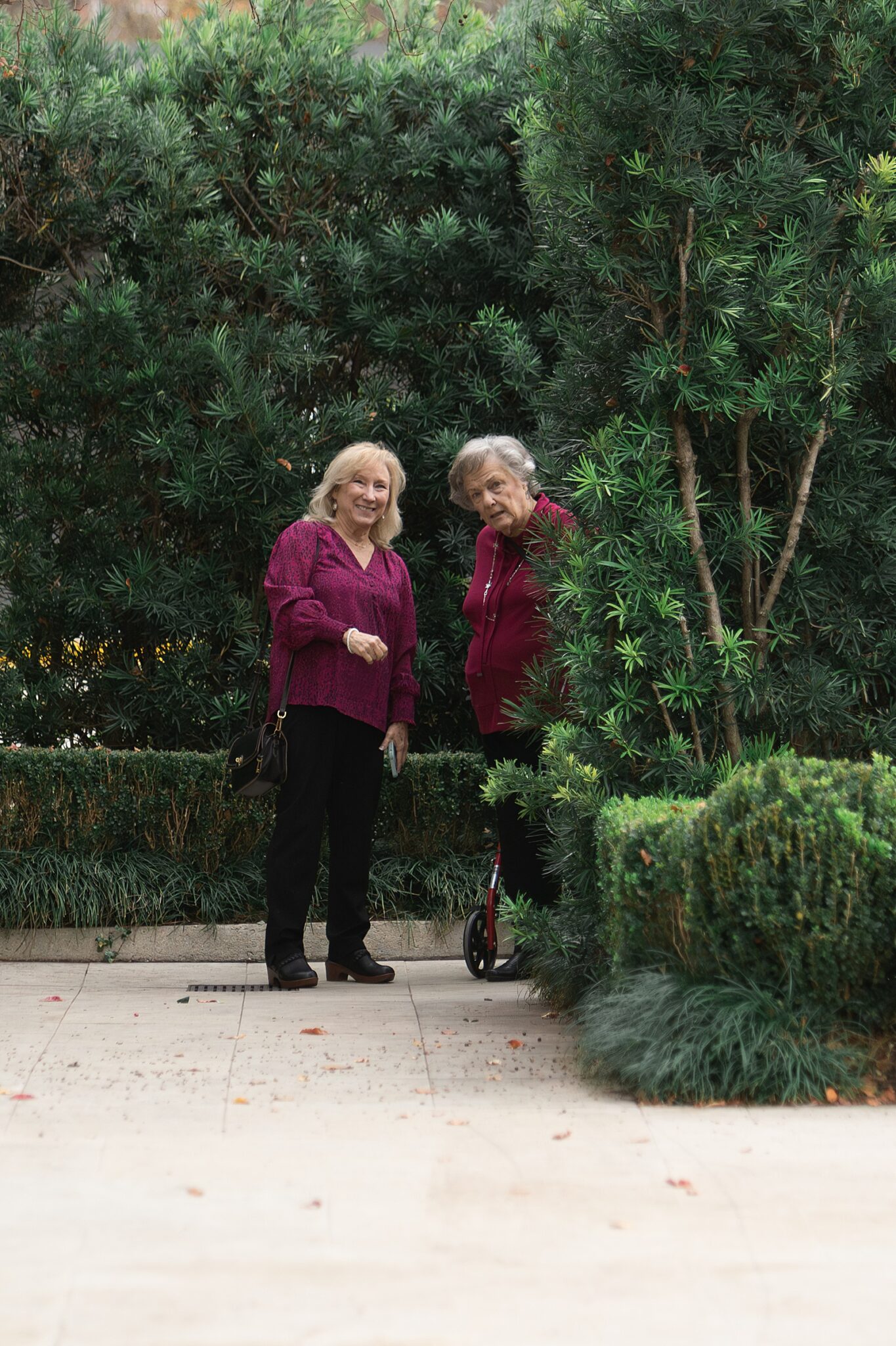 Vince Proposes to Lorena | Houston Marriage Proposal Photographer ...